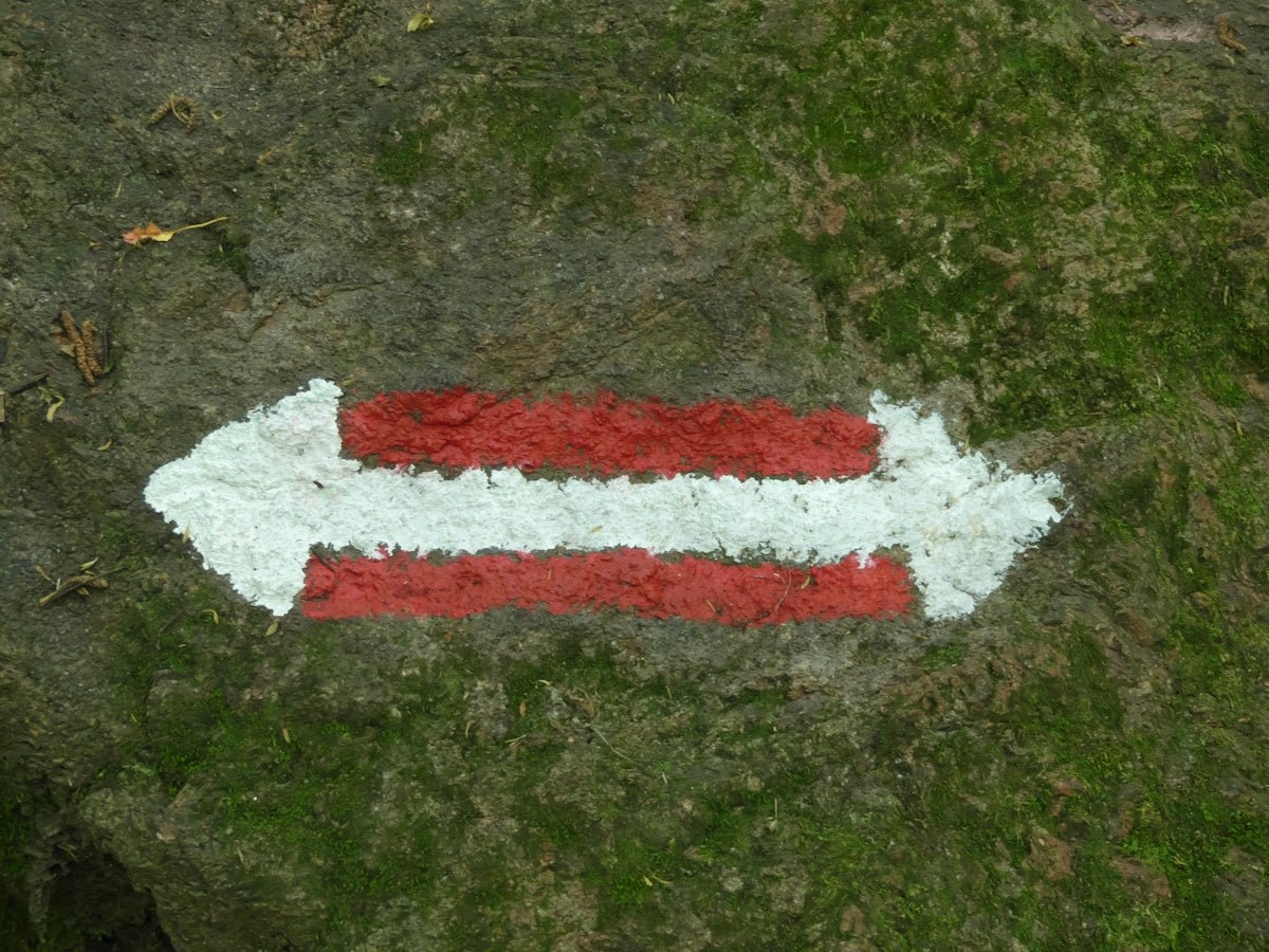 A Comprehensive Guide to Collecting Flag Patches for Beginners ...